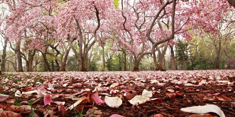 Join the The Pink Color Photo Contest and win Fujifilm Instax Mini 90 ...